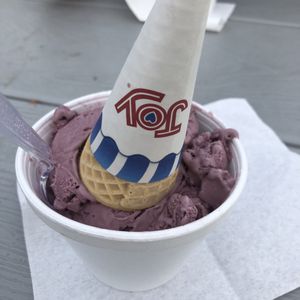 THE MOSQUITO - 21 Photos & 62 Reviews - 1333 Roosevelt Trl, Raymond ...