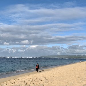 ONEULA BEACH PARK - 124 Photos & 24 Reviews - Parks - Papipi Rd, Ewa ...