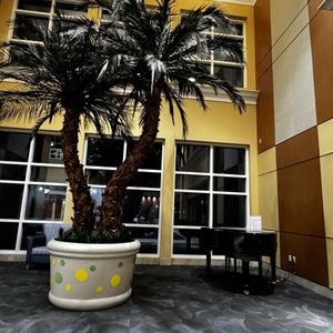 MANELLA FAMILY PRACTICE: DR. SUSAN MANELLA - Updated October 2025 - 29 ...