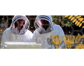 ALTURA HONEY - Updated December 2025 - Albuquerque, New Mexico - Honey ...