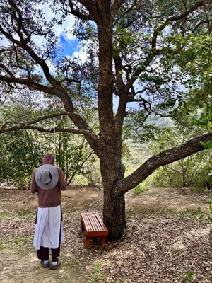 DEER PARK MONASTERY - Updated November 2025 - 440 Photos & 52 Reviews ...