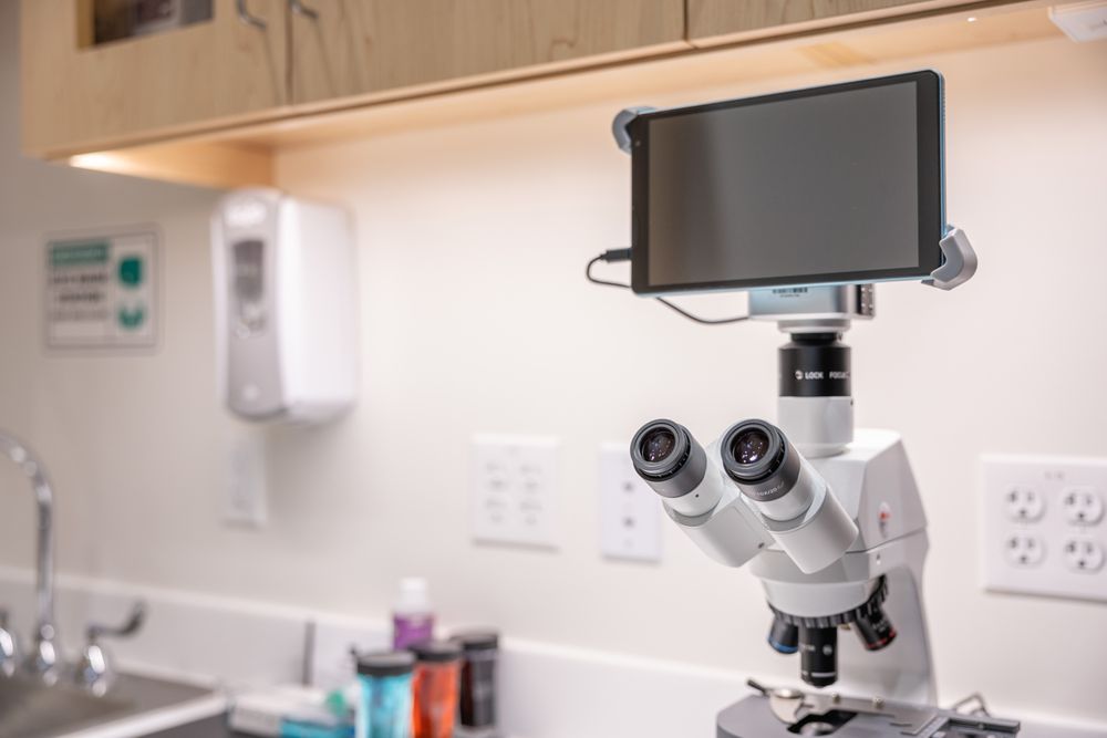 JACK LONDON PET HOSPITAL - Updated January 2026 - 18 Photos & 17 ...