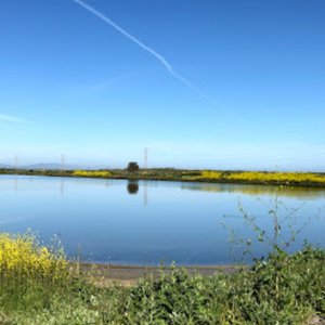 BAYLANDS PARK TRAIL - 375 Photos & 121 Reviews - 999 E Caribbean Dr ...