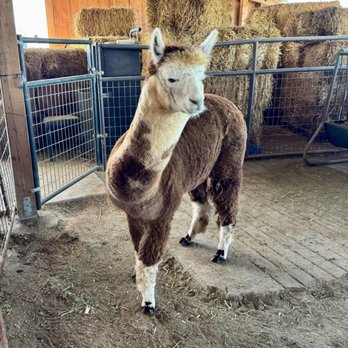DUTCH HOLLOW FARMS - Updated March 2026 - 247 Photos & 119 Reviews ...