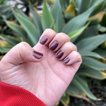 LAVISH NAIL BAR AND ORGANIC SPA Updated January 2025 421 Photos 321 Reviews 11203 National Blvd Los Angeles California Nail Salons Phone Number Yelp