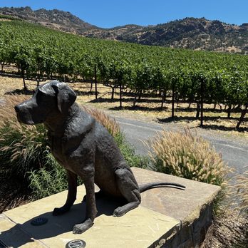 SHAFER VINEYARDS - Updated September 2025 - 176 Photos & 49 Reviews ...