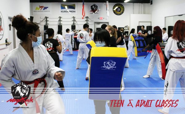 MASTER KIM’S MEGAKICK TAE KWON DO & ALPHA KRAV MAGA - Updated December 2025 - 20 Photos - 8882 ...