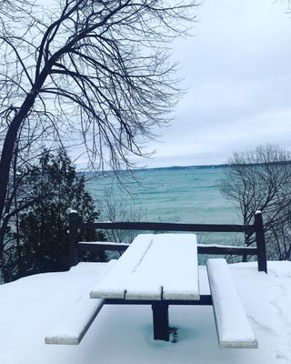 FU HUA CHINESE FOOD - Updated July 2024 - 32 Photos & 81 Reviews - 742 ...