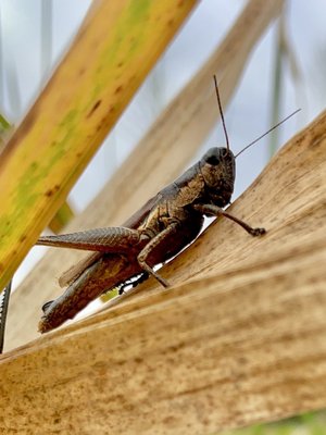 R GARLAND DODD PARK AT POINT OF ROCKS - Updated October 2024 - 77 ...