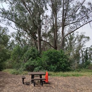 MOUNT SUTRO - 384 Photos & 114 Reviews - Medical Ctr Way, San Francisco ...