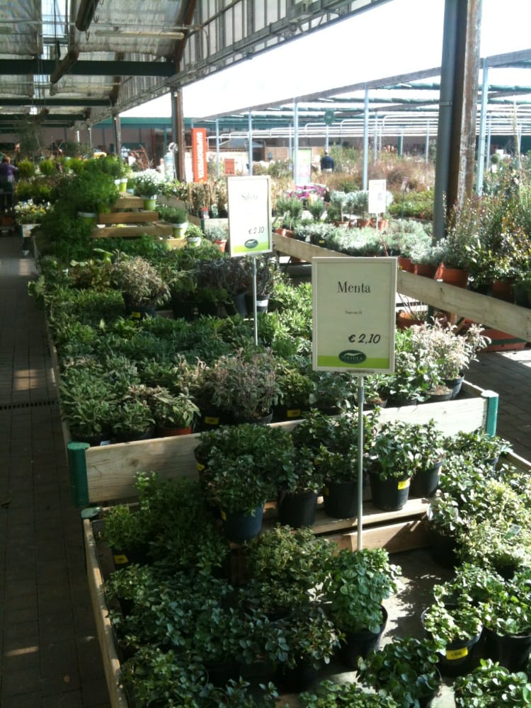 VIRIDEA - Corso Europa 325, Rho, Milano, Italy - Nurseries & Gardening ...