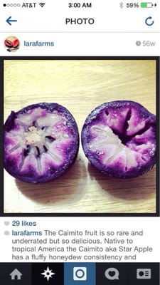 LARA FARMS NURSERY - 18 Photos & 12 Reviews - 18660 SW 200th St, Miami ...