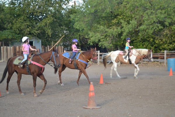 FULL CIRCLE RIDING ACADEMY - Updated September 2024 - 12 Photos - 6301 ...