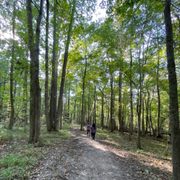 STUMPY LAKE NATURAL AREA - 233 Photos & 16 Reviews - 4794 Indian River ...