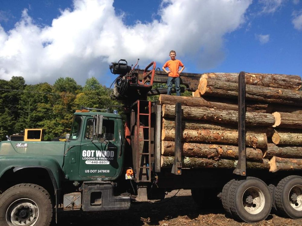 GOT WOOD - Updated November 2025 - Central Square, New York - Firewood ...