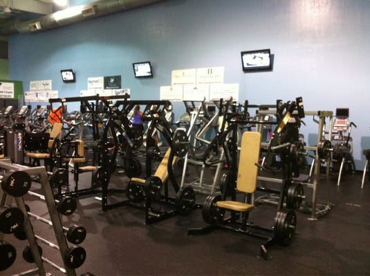 LEE COUNTY YMCA - Updated December 2025 - 18 Photos - 1360 Royal Palm ...