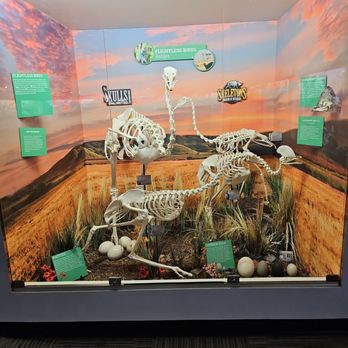 SKELETONS MUSEUM OF OSTEOLOGY - Updated October 2025 - 552 Photos & 165 ...