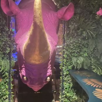 RA-RA RHINO - Updated March 2025 - 40 Photos & 18 Reviews - 1329 ...