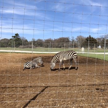 SHARKAROSA WILDLIFE RANCH - Updated October 2025 - 312 Photos & 135 ...