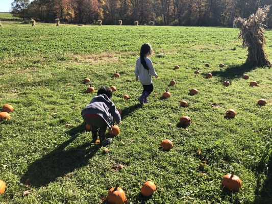 HURST FARM COUNTRY STORE - Updated March 2025 - 10 Photos - 746 East St ...