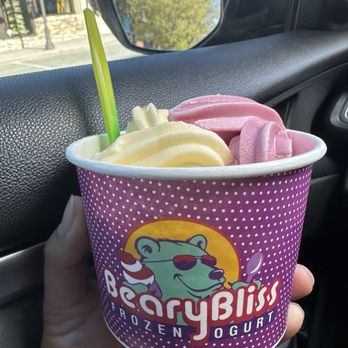 BEARY BLISS - Updated July 2025 - 42 Photos & 53 Reviews - 685 Pine ...