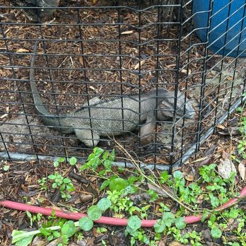 CROC ENCOUNTERS - Updated October 2024 - 270 Photos & 135 Reviews ...