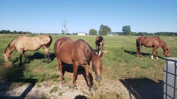 WILD SPIRIT RANCH - Updated July 2025 - Request Information ...