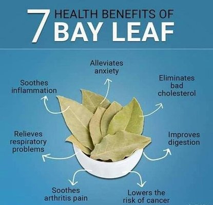 THE REHYDRATION STATION - Updated February 2025 - 23 Photos - Staten ...