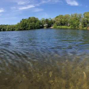 BUCKMASTER POND - 15 Photos - Lakes - 350 Pond St, Westwood, MA - Yelp