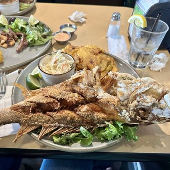 ORINOCO RESTAURANT - Updated January 2026 - 27 Photos - 4723 Common St ...