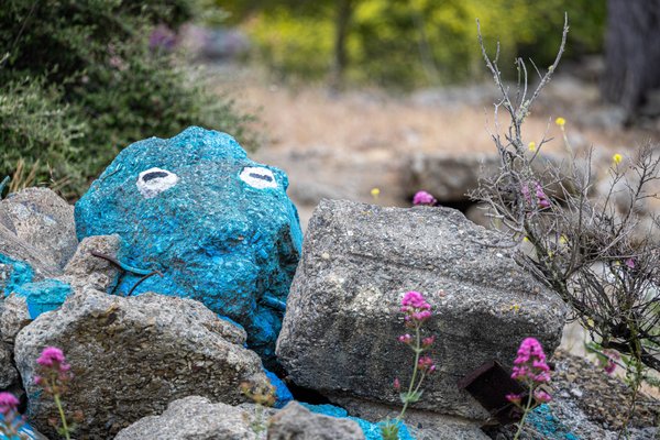 ALBANY BULB - Updated January 2026 - 998 Photos & 213 Reviews - 1 ...