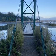 WIGGLY BRIDGE - 55 Photos & 15 Reviews - Landmarks & Historical ...