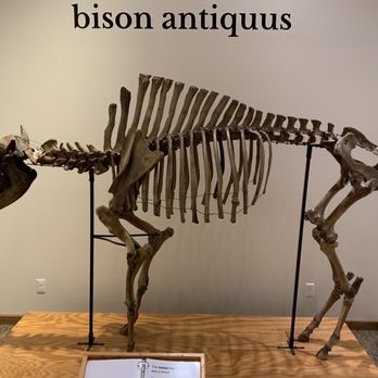 NORTH AMERICAN BISON DISCOVERY CENTER - Updated December 2025 - 49 ...