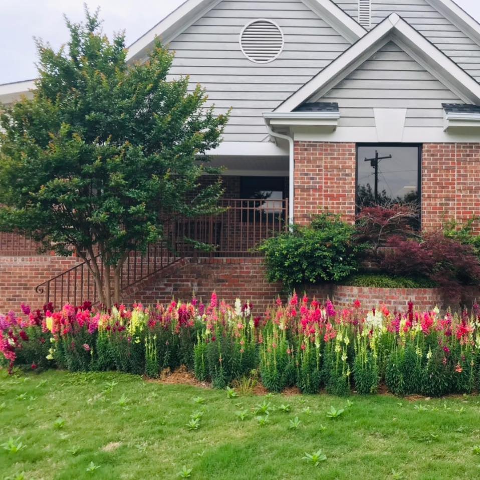 WILSON & FIQUETT DMD - Updated October 2025 - 110 23rd St NW, Fort Payne, Alabama - General ...