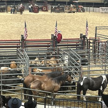 SHOW PLACE ARENA - Updated January 2026 - 18 Photos & 10 Reviews ...