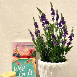 SURPRISE REGIONAL LIBRARY - 54 Photos & 24 Reviews - 16089 N Bullard ...