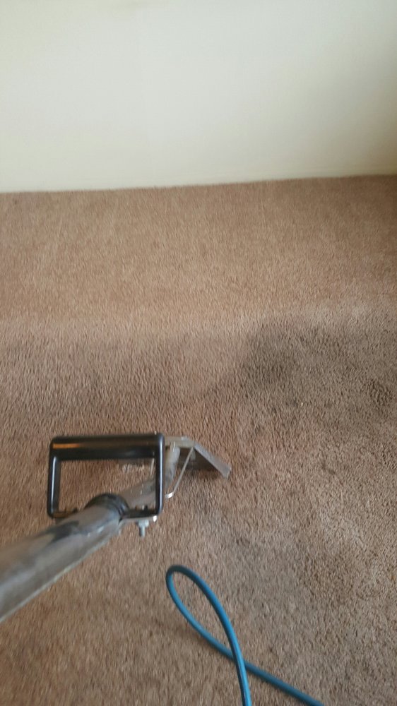 TRUE CLEAN CARPET & TILE CARE - Updated July 2025 - 60 Photos & 25 ...