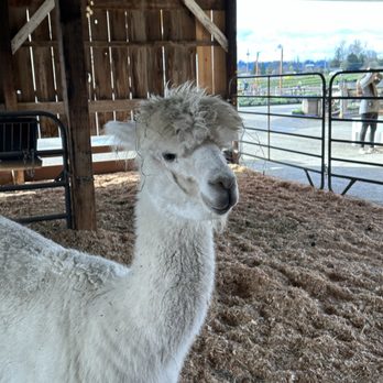 KNUTSON FARMS - Updated October 2024 - 61 Photos & 26 Reviews - 16406 ...