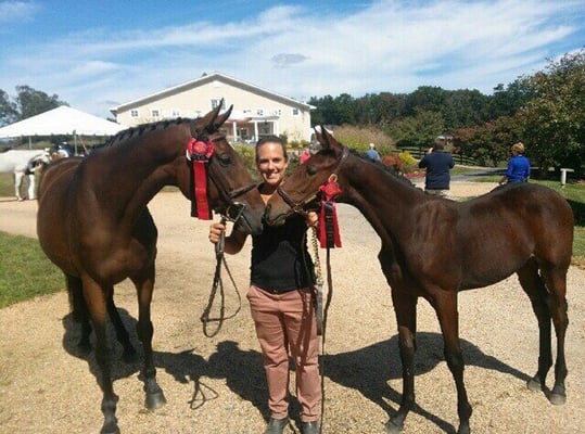 SOUTHERN OAK EQUESTRIAN CENTER - Updated December 2025 - 15 Photos ...