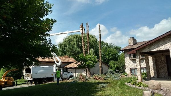 A CUT ABOVE TREE SERVICE - Updated October 2025 - 32 Photos - 600 S ...