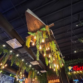 BOCHAS X TACOSON - Updated October 2025 - 91 Photos & 51 Reviews - 1645 ...