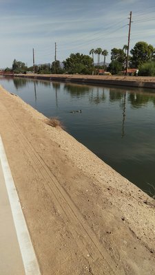 The Arizona Canal - 39 Photos & 18 Reviews - Lakes - Scottsdale, AZ ...