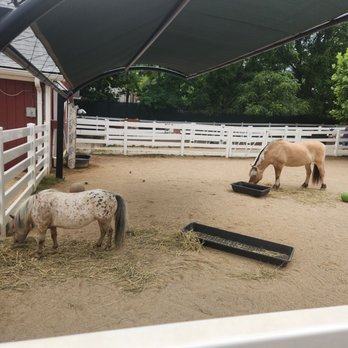 COSLEY ZOO - Updated December 2025 - 330 Photos & 150 Reviews - 1356 N ...