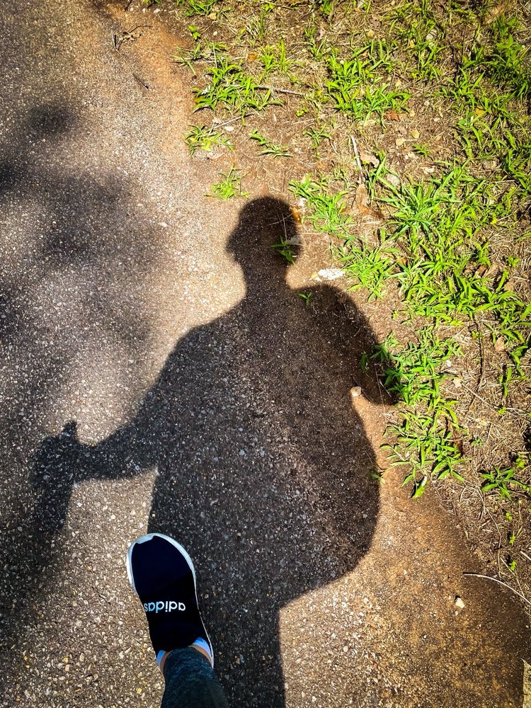 VULCAN TRAIL - Updated December 2025 - 83 Photos & 18 Reviews - Richard ...