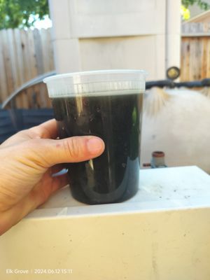 SPEEDEE-MIDAS - Updated December 2025 - 36 Photos & 249 Reviews - 8573 ...