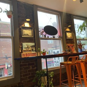 MAC TABBY CAT CAFE - 241 Photos & 101 Reviews - Themed Cafes - 3204 N ...