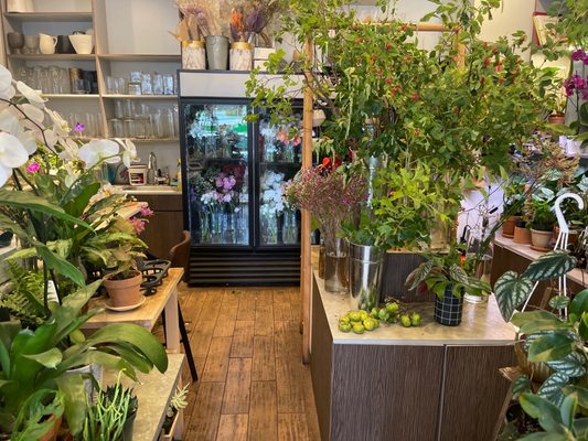 SHU’S FLOWERS - Updated September 2025 - 167 Photos & 69 Reviews - 179 ...