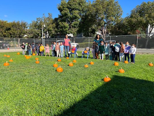 THE LEARNING TREE - Updated January 2026 - 134 Photos & 28 Reviews ...