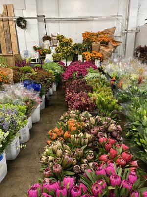 SAN FRANCISCO FLOWER MARKET - CLOSED - Updated January 2025 - 533 ...