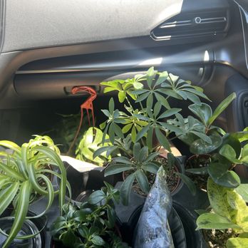 MOJAVE BLOOM NURSERY - Updated January 2026 - 77 Photos & 22 Real ...